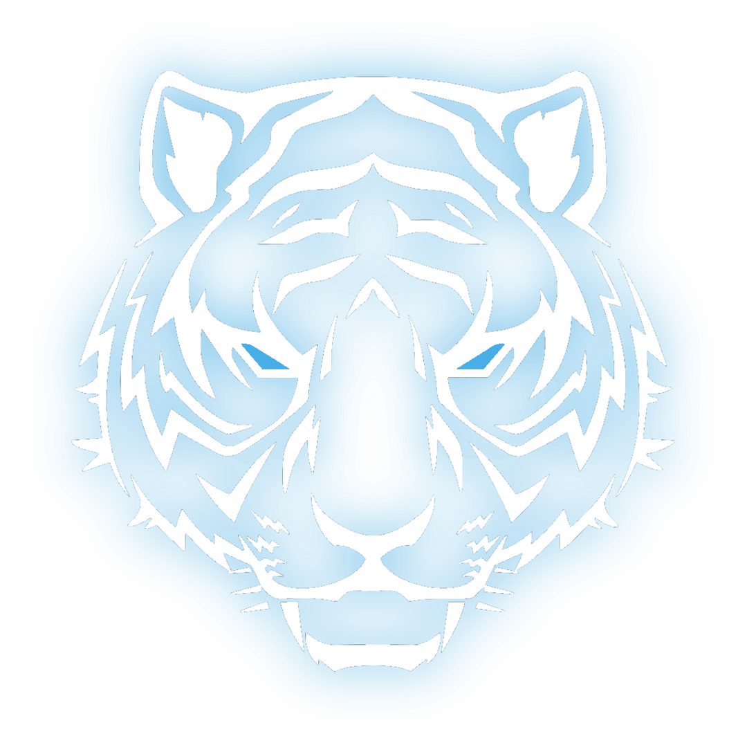 Tiger Tech Solutions